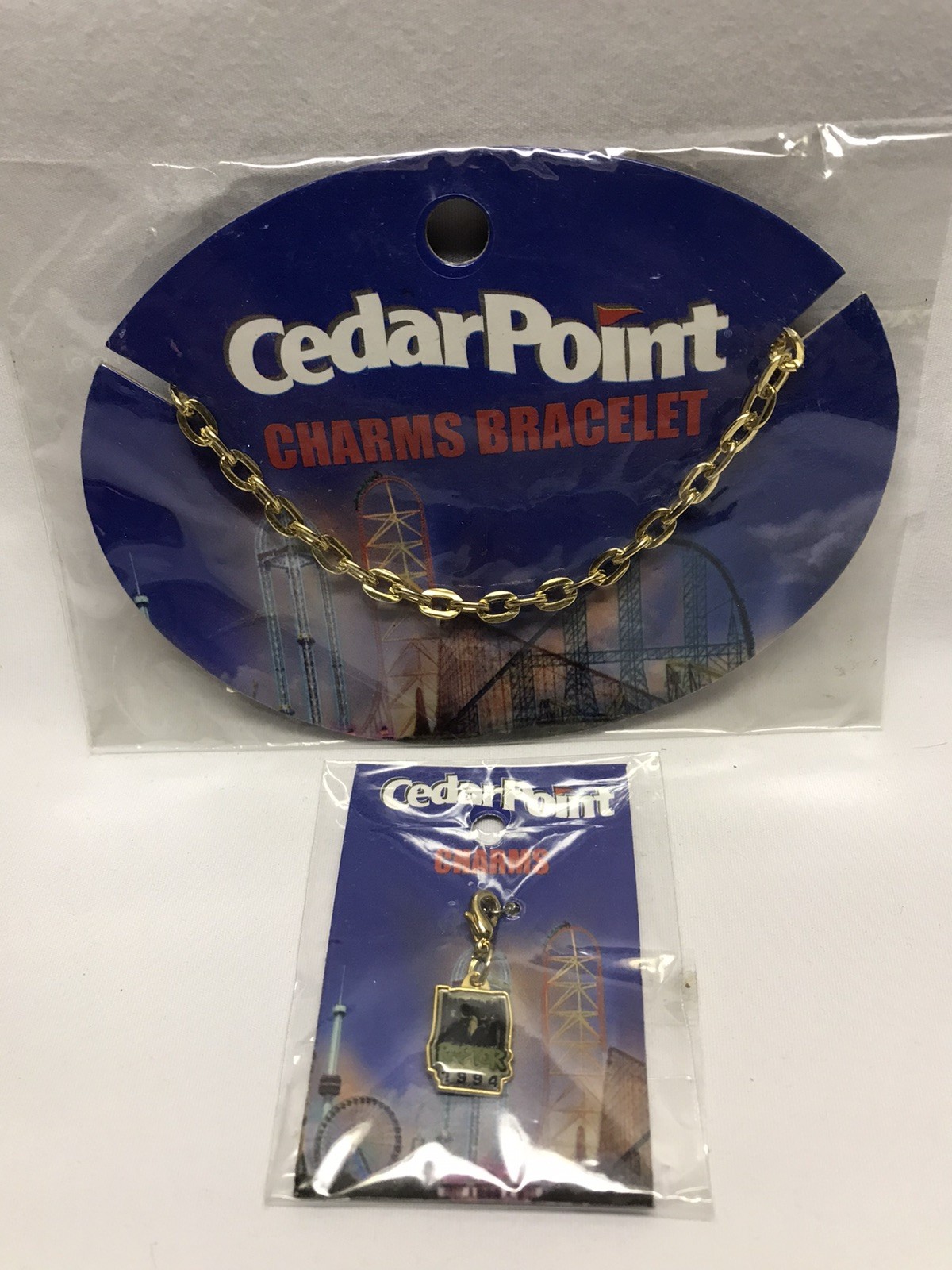 Raptor Roller Coaster Charm + Bracelet Cedar Point Amusement Park ...